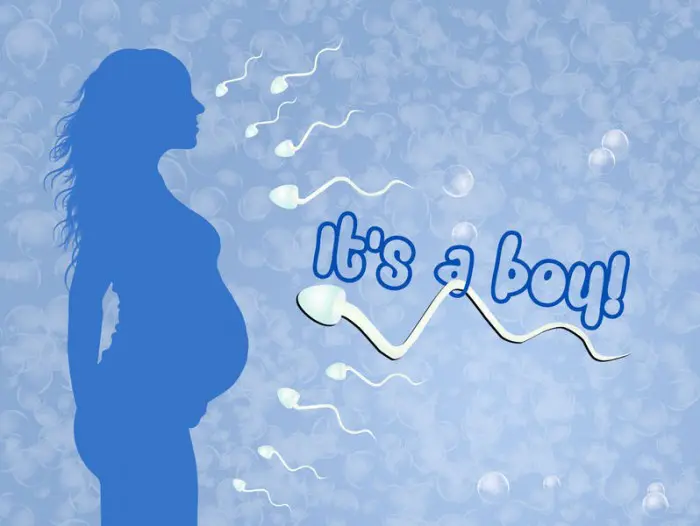 Concebir un niño o una niña con el método del Dr. Shettles - Etapa Infantil