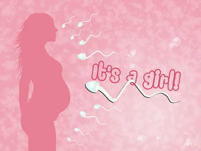 Concebir un niño o una niña con el método del Dr. Shettles - Etapa Infantil