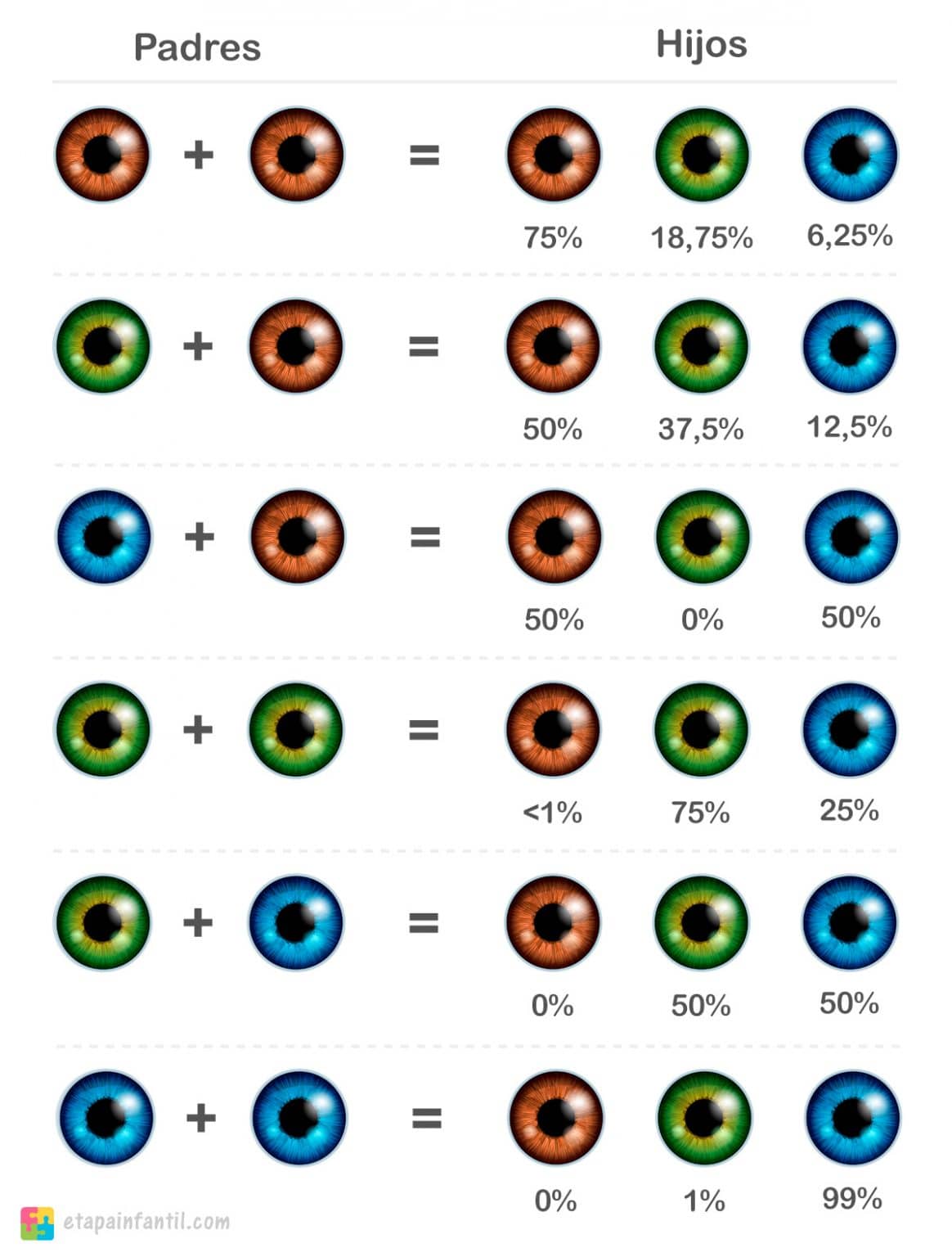 Padres Con Ojos Marrones E Hijo Con Ojos Azules ¿es Posible Etapa
